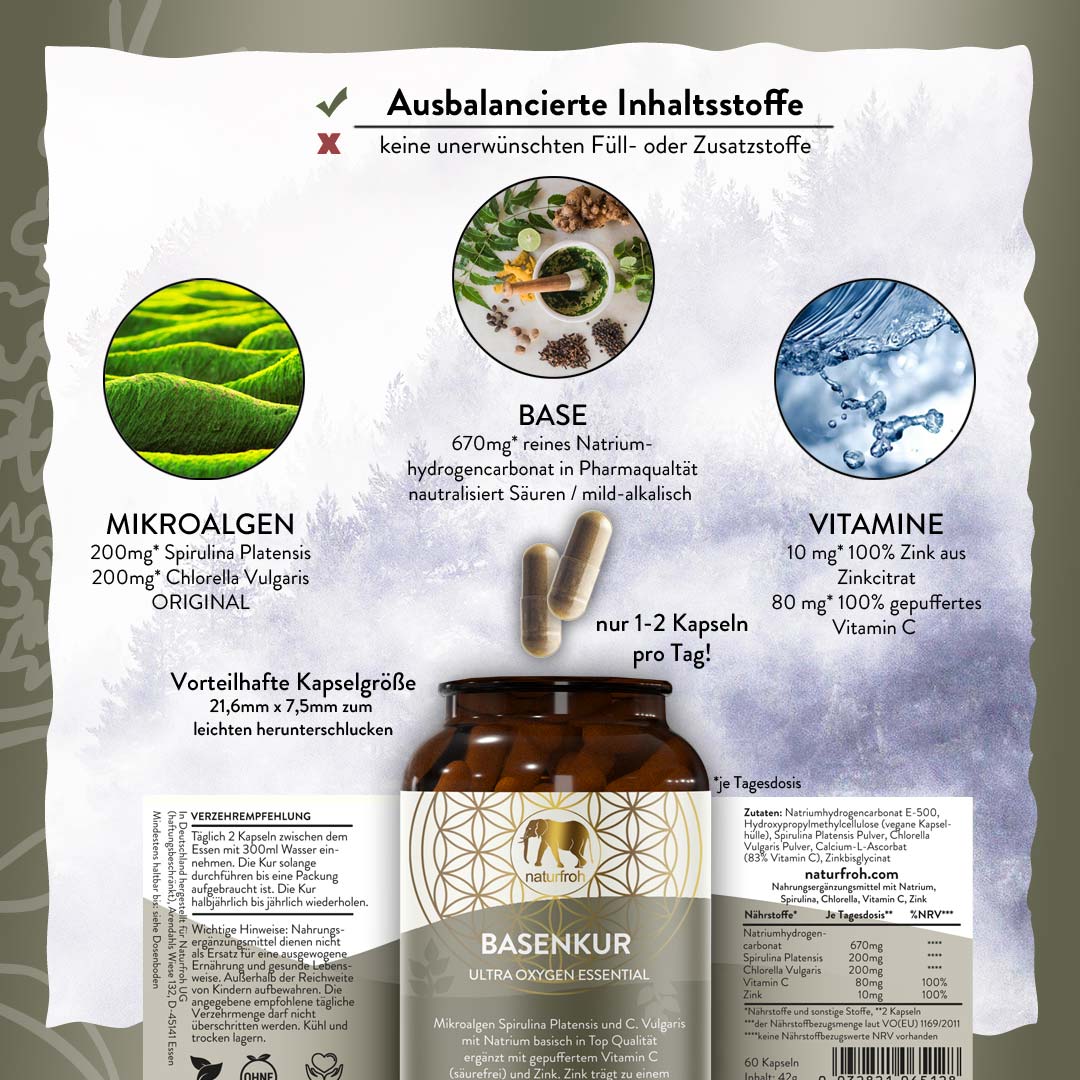 BASENKUR-R02.1-Inhaltsstoffejpg | naturfroh.com